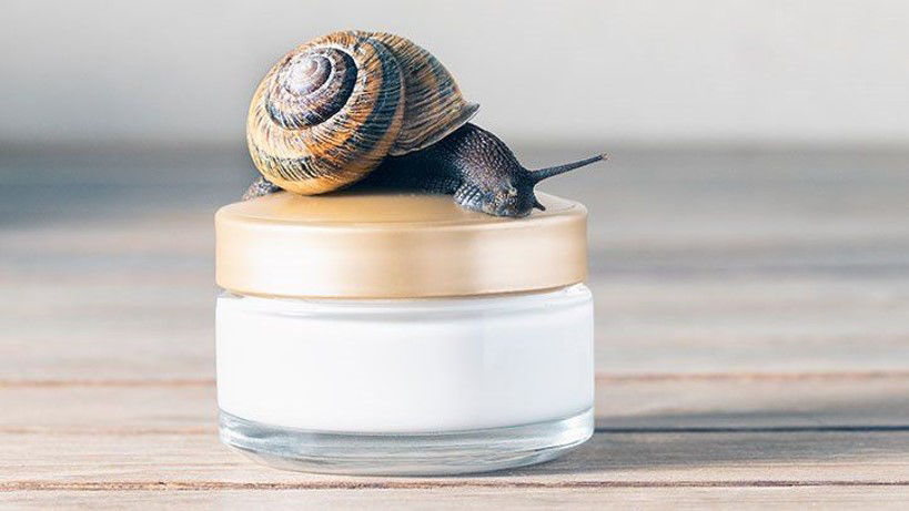 Ren Ecosystem Snail Mucin For Skin Care Products And Uses