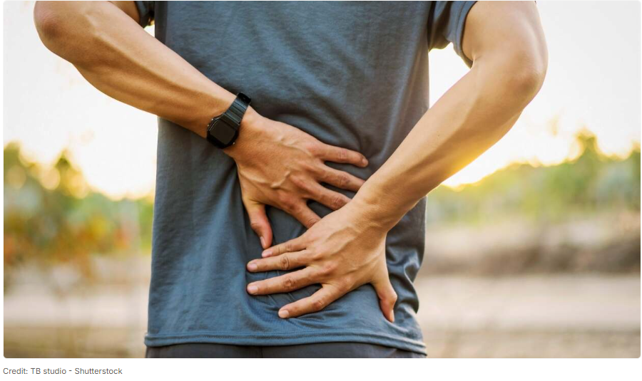 Ren Ecosystem. Never Ignore These Types of Back Pain