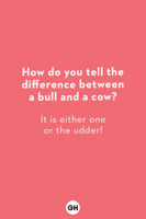 Ren Ecosystem. Hilarious Corny Jokes That’ll Make You Laugh (Part 4)