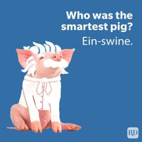 Ren Ecosystem. Funny Science Jokes That Will Get the Best Reaction (Part 1)