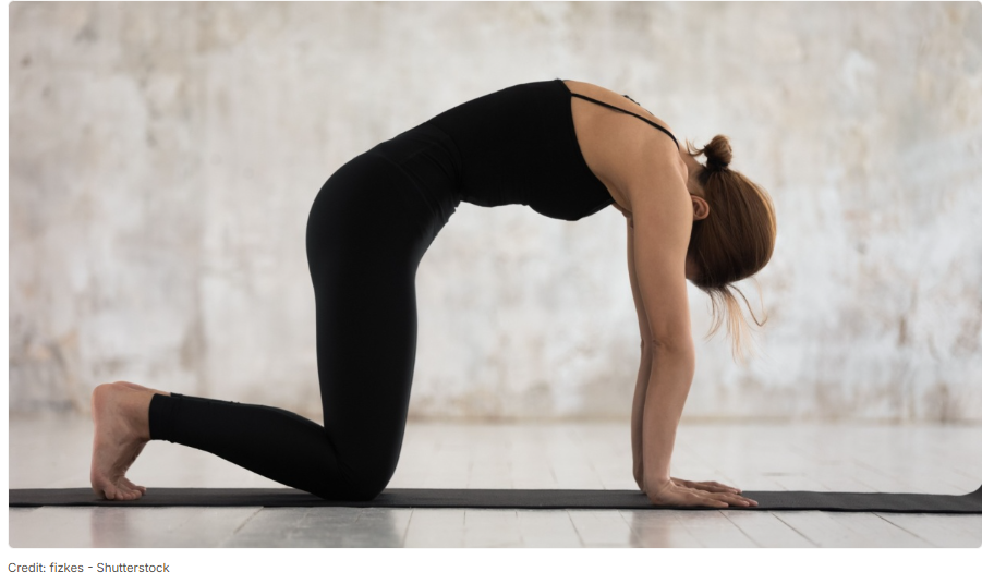 Ren Ecosystem. The Best Stretches for a Stiff Lower Back