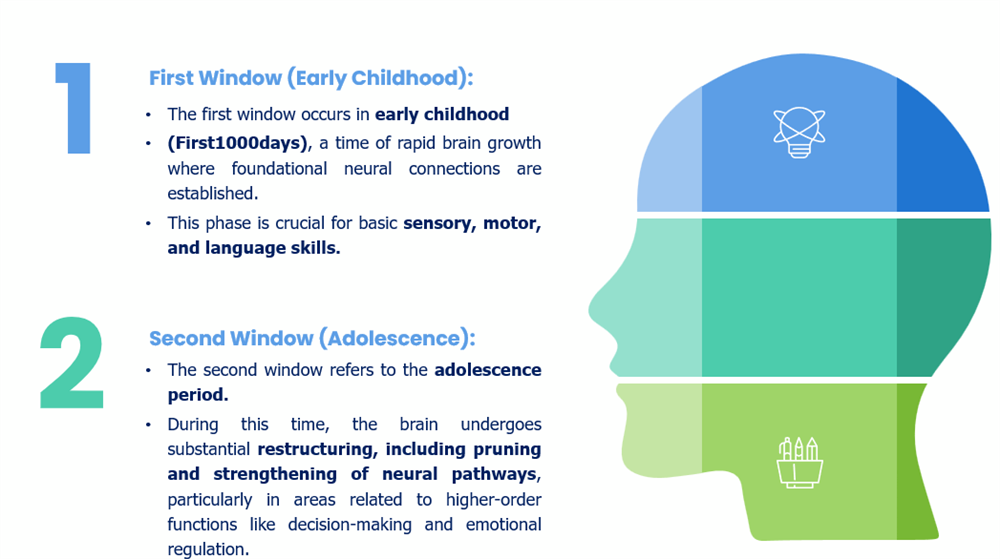 Ren Ecosystem. The Adolescent Brain: The 2nd Window of Opportunity"